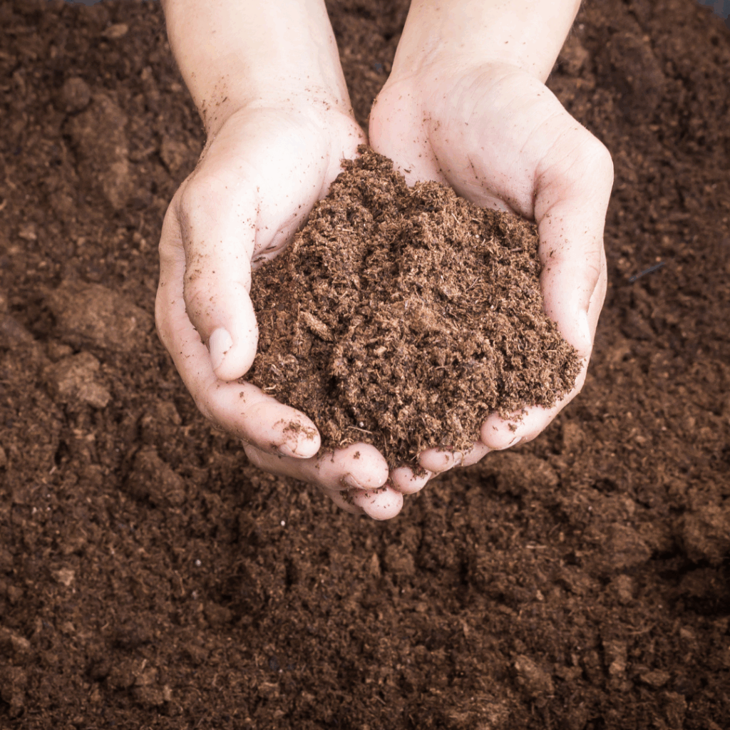 Sweet Peat Moss: Improve Your Garden with Rohr's in 2025