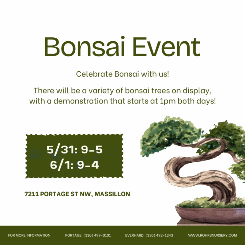 Bonsai Event 2025 at Rohr's Nursery: Displays & Demos