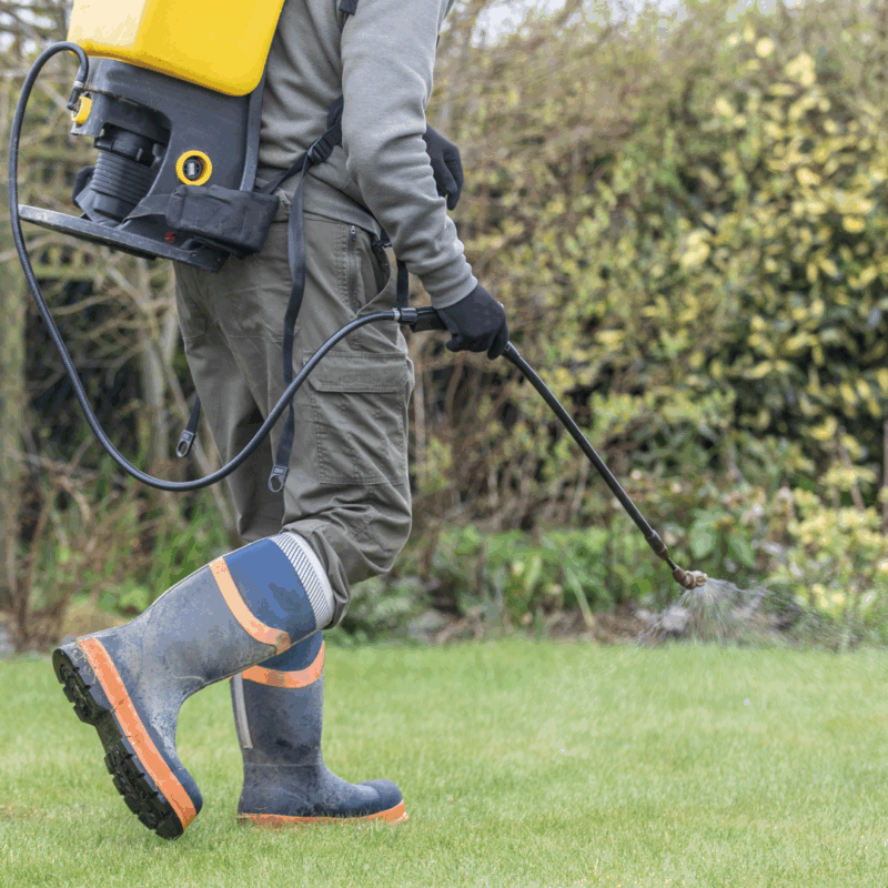 Rain & Weed Killer Tips with Rohr's Nursery